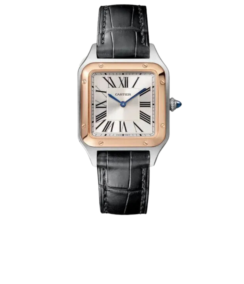 Bracelets Cartier – Cuir, Caoutchouc & Nylon | Helvetus®